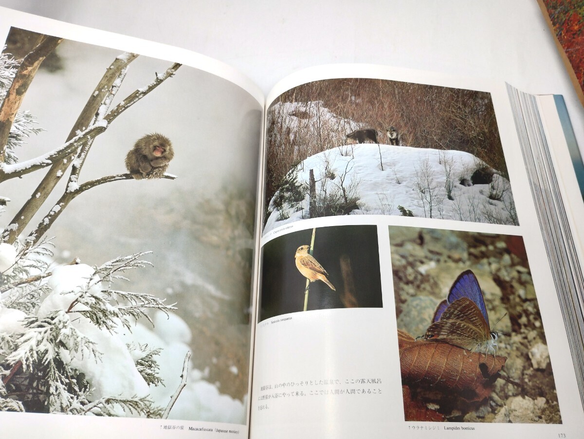 Yahoo!オークション - U839【自宅保管品】自然公園50周年記念・国立公...