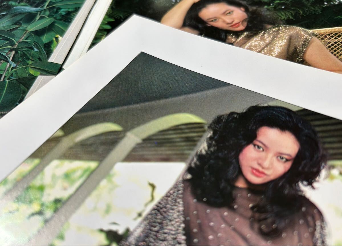 夏樹陽子 切り抜き モデル 女優 グラビア P8ページ 昭和レトロ お宝3(タレント)｜売買されたオークション情報、yahooの商品情報をアーカイブ公開 - オークファン（aucfan.com）