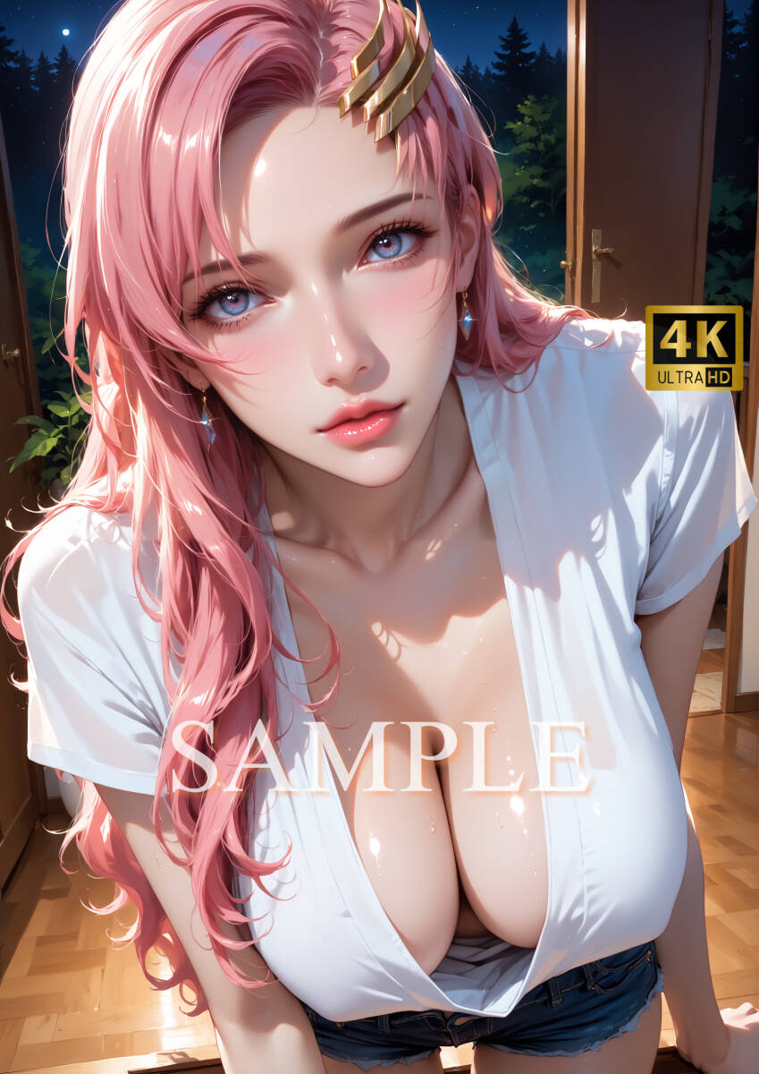 w53 ラクス クライン ガンダム 1点もの 同人 A4 ポスター 巨乳 アニメ セクシー(その他)｜売買されたオークション情報、yahooの商品情報をアーカイブ公開 - オークファン ...