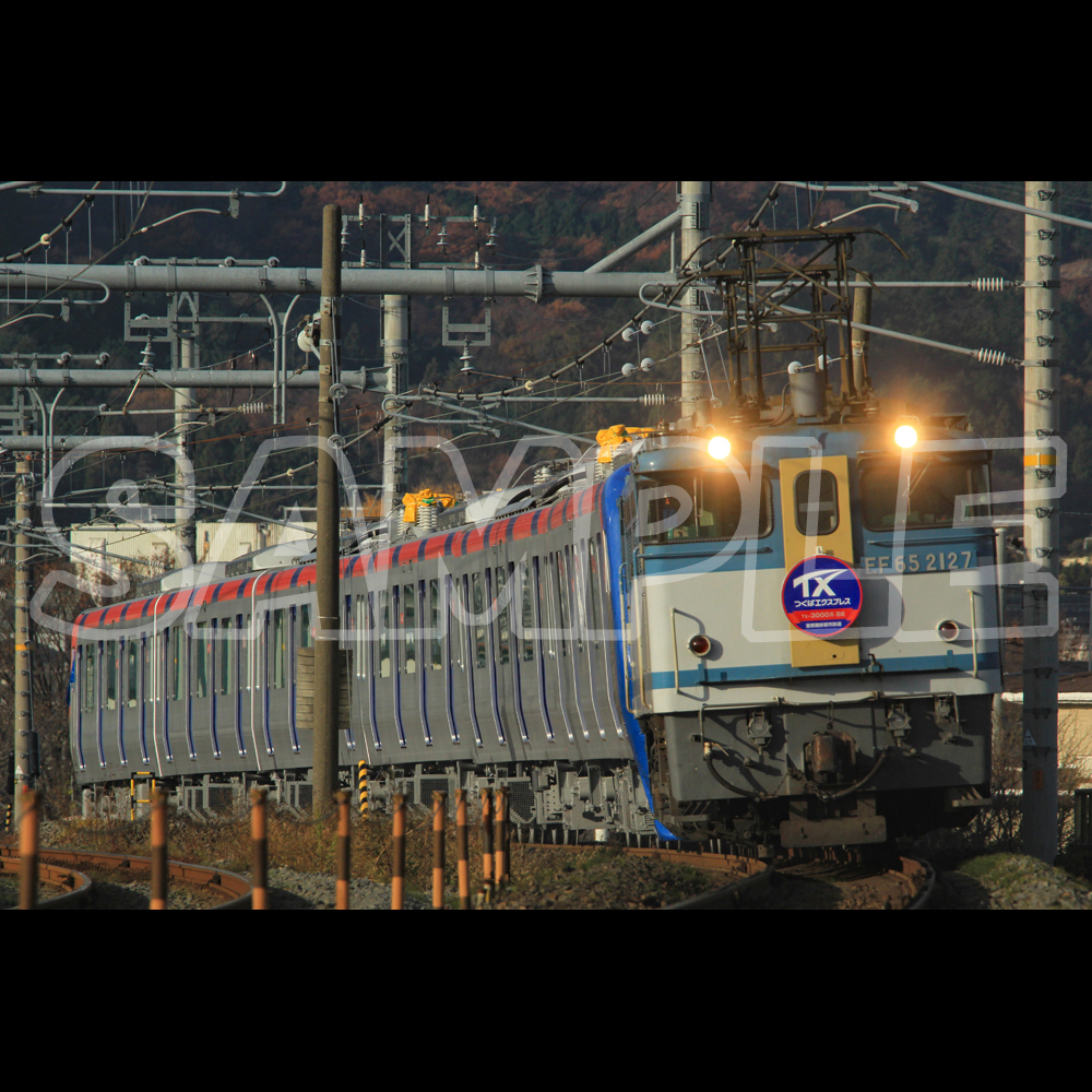 Yahoo!オークション - 【JR貨物】EF65形電気機関車（2000番台）EF65-21...