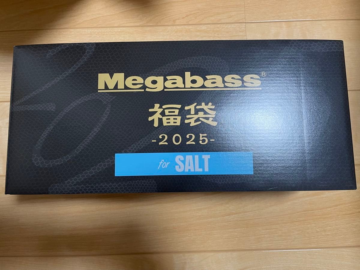 メガバス 福袋2025 SALT カゲロウ124F キリンジ120 ソルト メガバス 福袋2025 SALT カゲロウ124F キリンジ120 ソルト
