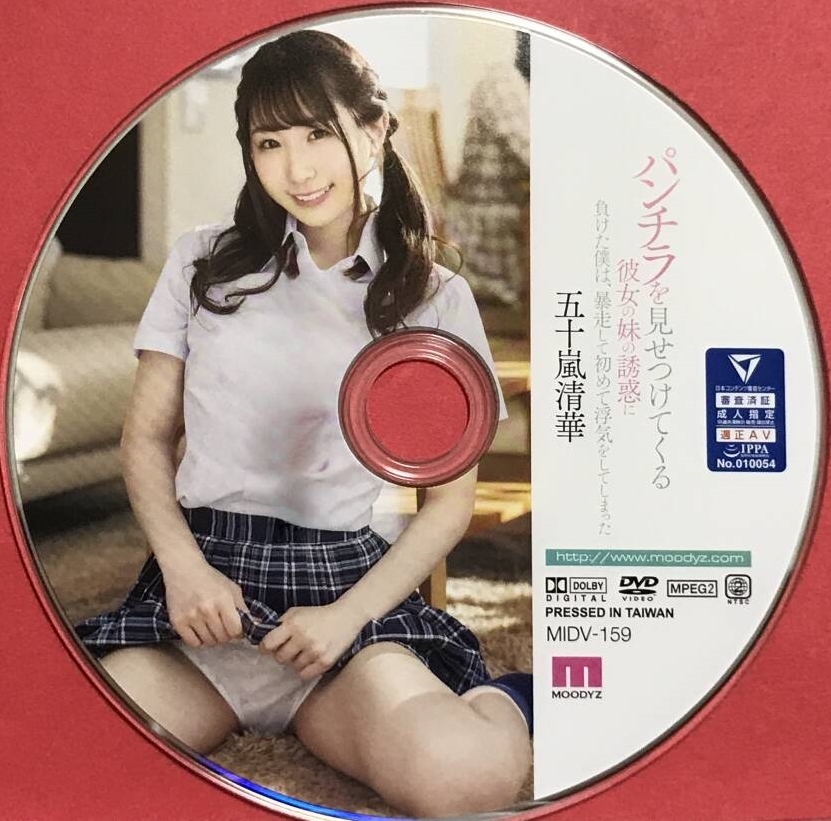 Yahoo!オークション - t4460 （高画質鮮明ジャンクDVD） パンチラを見...