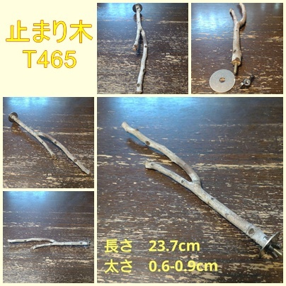 Yahoo!オークション - 止まり木（枝 TOY-08-015）T465