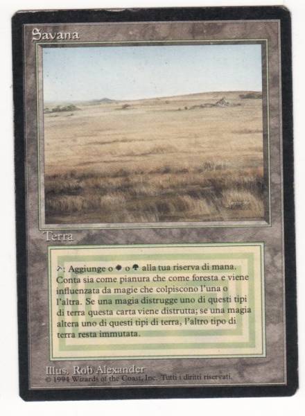 Yahoo!オークション - MTG RV Savannah(黒枠伊語) その4